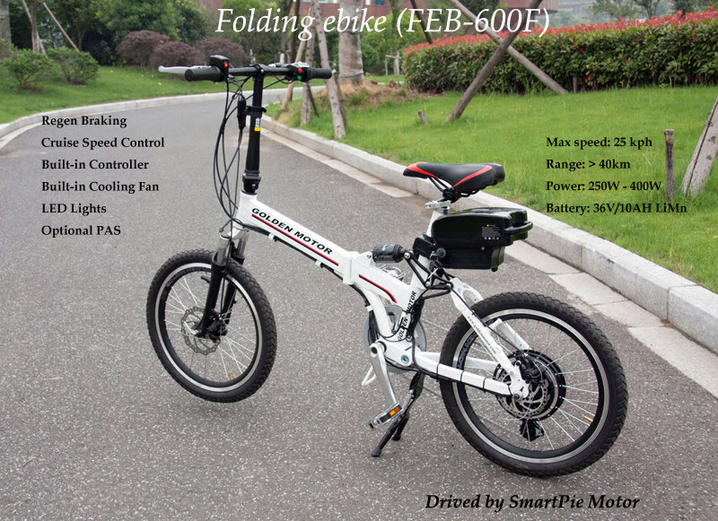 Golden motor ebike store